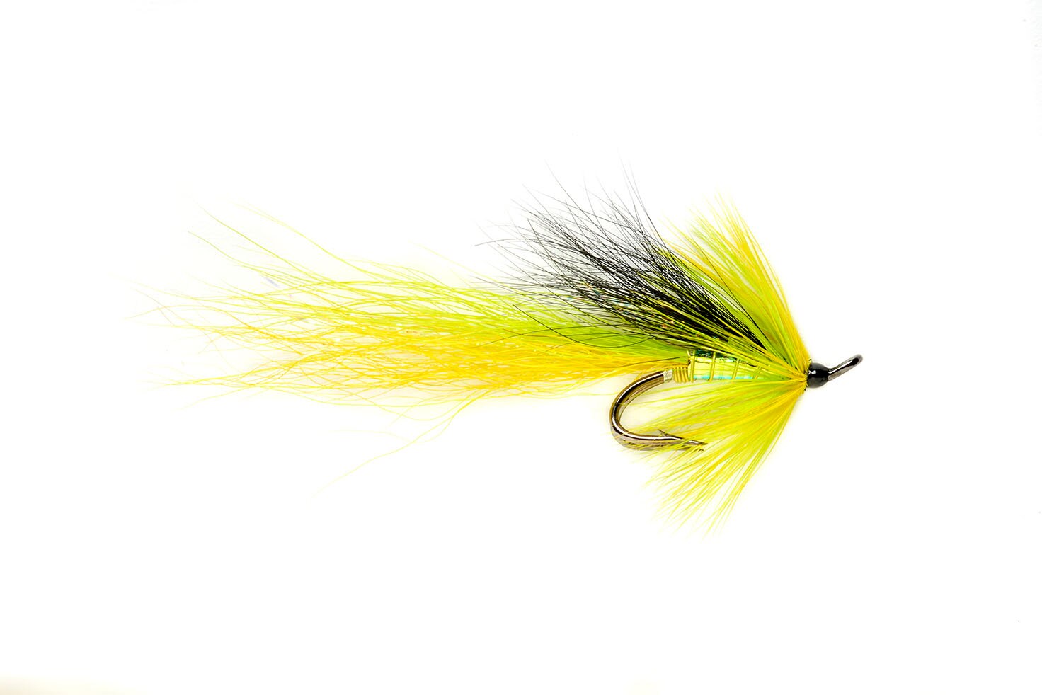 End of Line | Fulling Mill Fly Fishing