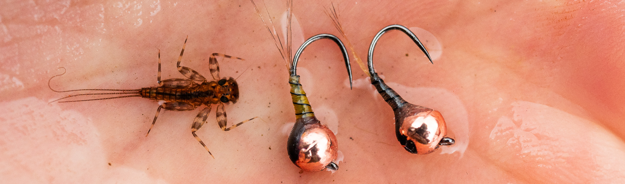 Snake Flies for Trout