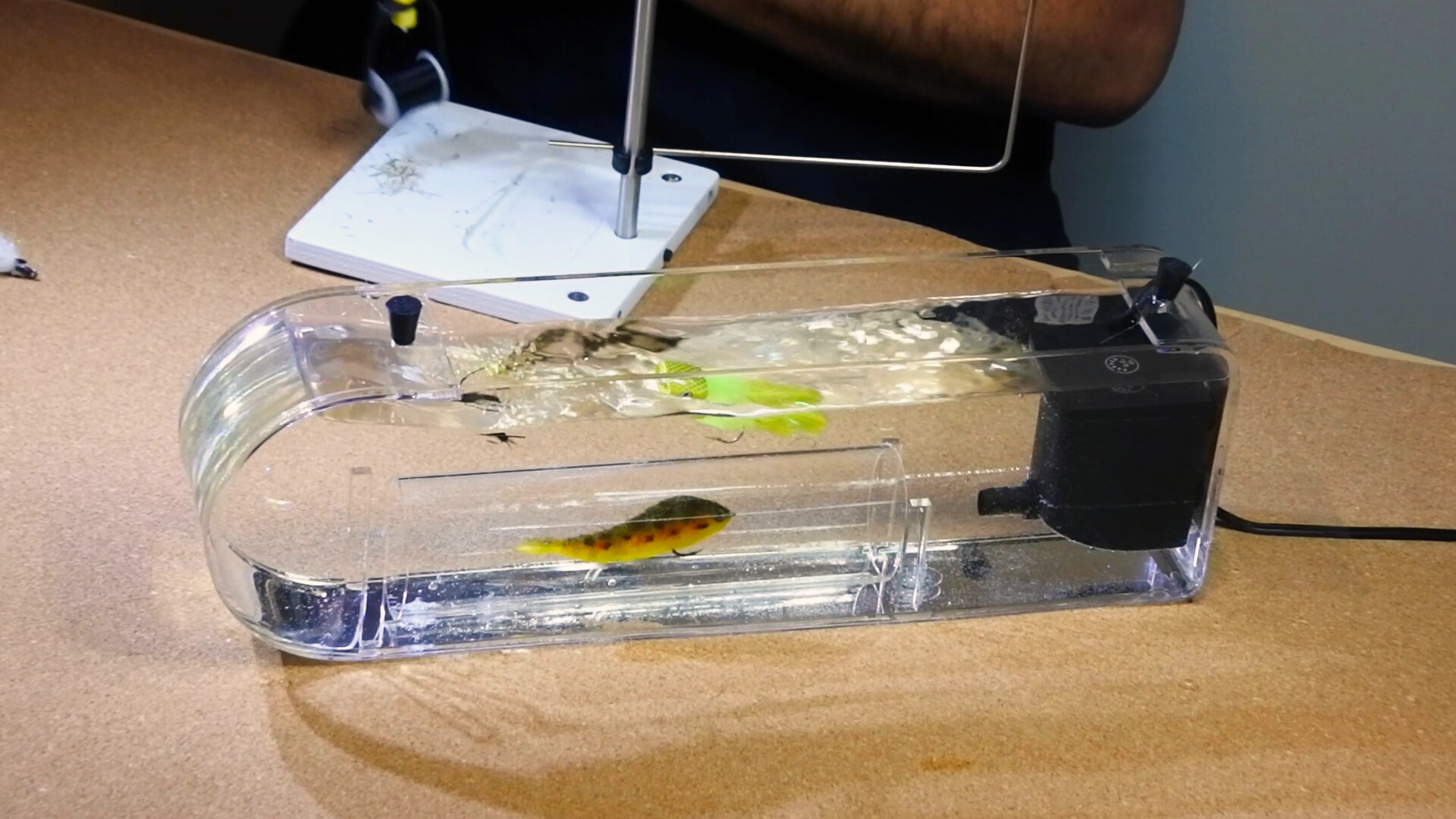 Flymen Fly Tying Materials - Fish-Skull® Fly Tester | Fulling Mill ...