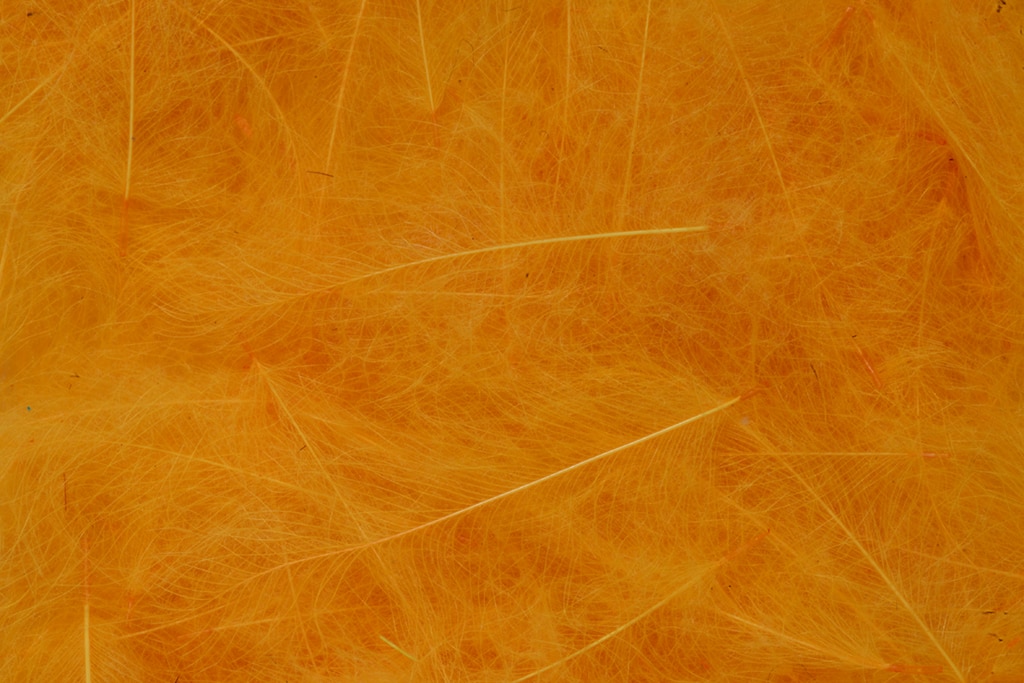 CDC Feathers Bulk | Fulling Mill Fly Tying